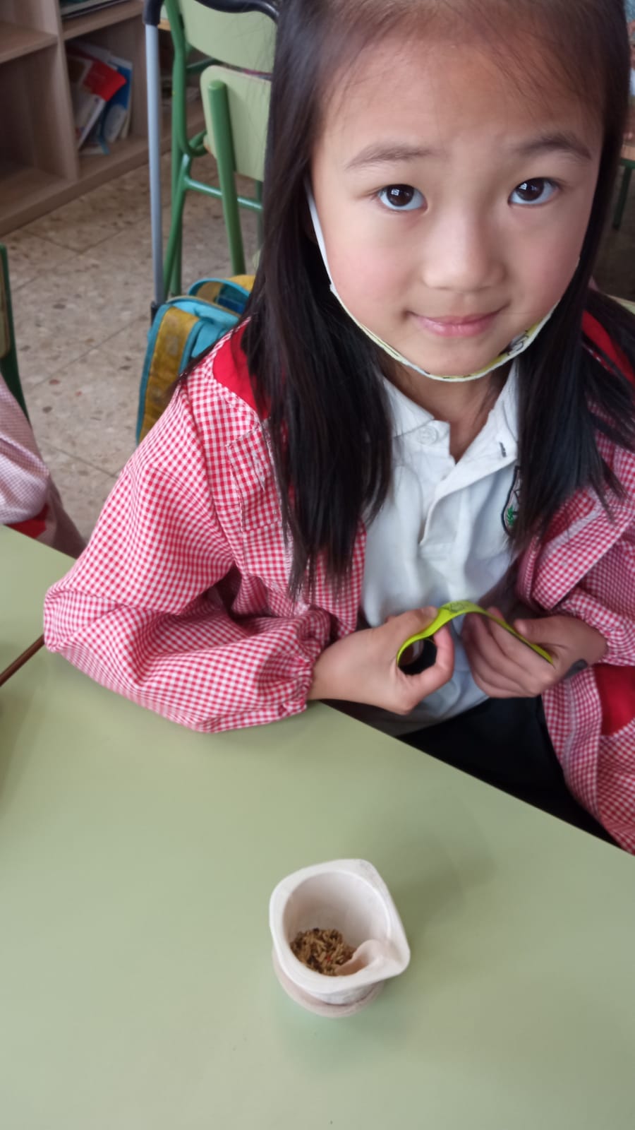 Don Pasto - 1º A Ed. Primaria